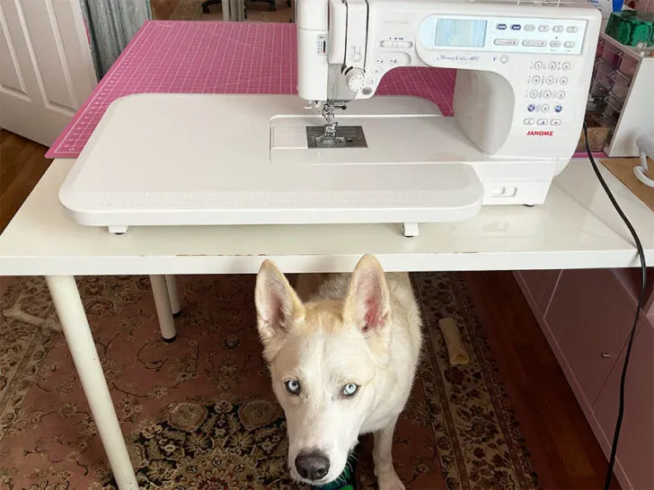 19 Advanced Features of Modern Sewing Machines