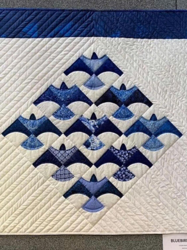 How To Sew Curves the Easy Way Using a Curve Master Presser Foot